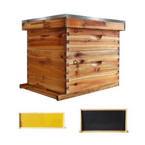 10-Frame Langstroth Beehive Starter Kit – 1 Deep Box & 1 Medium Super ...