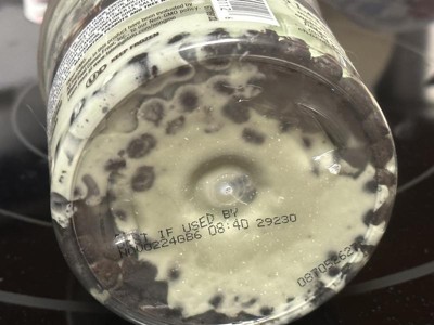 Talenti Gelato Layers Mint Fudge Cookie - 11oz : Target