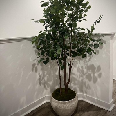 72" Artificial Ficus Tree - Threshold™ Designed With Studio Mcgee : Target