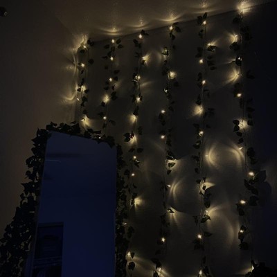 5' X 3.5' Led Vine Curtain String Lights Warm White - West & Arrow : Target