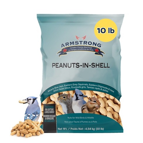 Armstrong Wild Bird Food Peanuts-in-shell Bird Seed : Target