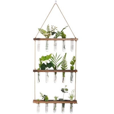 Window Garden Wall Hanging Plant Propagation Station For Hydroponic ...