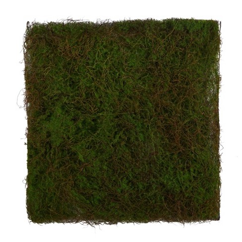 Nearly Natural 20-in X 20-in Artificial Moss Mat : Target