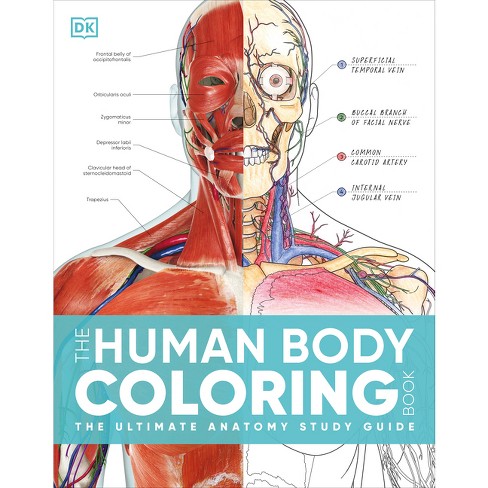 The Human Body Coloring Book - (dk Human Body Guides) By Dk (hardcover ...