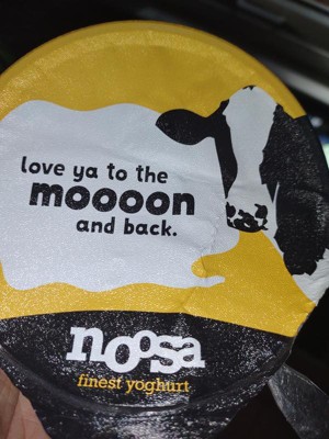 Noosa Lemon Probiotic Whole Milk Yoghurt - 8oz : Target