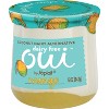 Oui By Yoplait Dairy-Free Mango Yogurt - 5oz : Target
