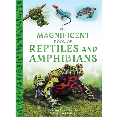 The Magnificent Book Of Reptiles And Amphibians - By Tom Jackson (hardcover) : Target
