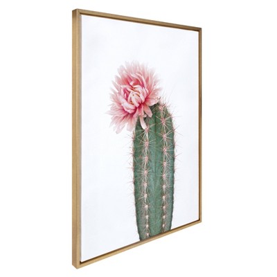 28"x38" Slyvie Pink Cactus Flower Framed Canvas By Amy Peterson - Kate ...