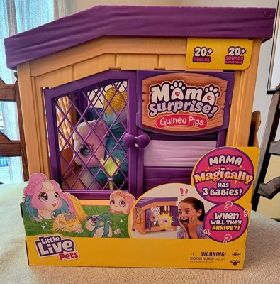 Little Live Pets Mama Surprise Guinea Pigs Rainbow Edition (target ...