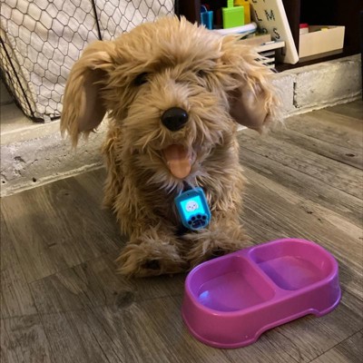 Skyrocket Moji The Lovable Labradoodle : Target