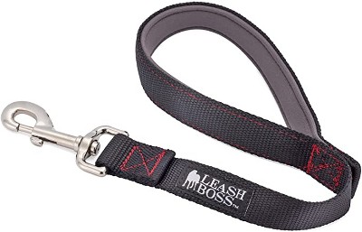 Voyager Adjustable Nylon Collar & 6' Leash Combo For Dogs & Cats ...