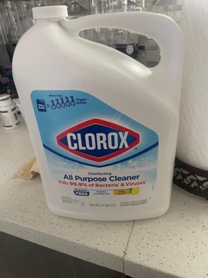 Clorox Disinfecting Bleach - Regular - 11oz : Target