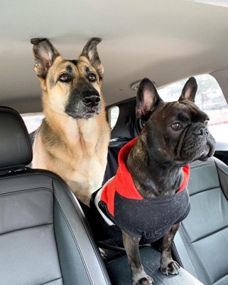 Bocce's Bakery Bedtime Tea With Vanilla And Banana Flavors Dog Treats ...