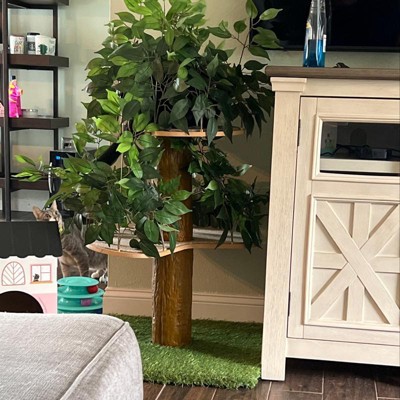 On2pets Square Cat Tree - Medium - Green : Target