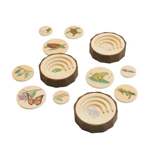 Kaplan Early Learning Lifecycle Puzzles - Set Of 3 : Target