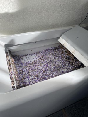 Petsafe Scoopfree Complete Classic Self-cleaning Cat Litter Box : Target