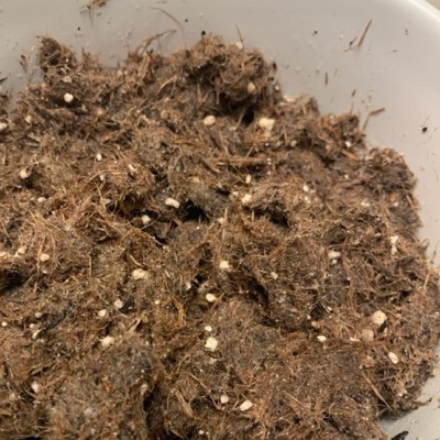 Back To The Roots 6qt Organic Indoor Potting Mix For Houseplants ...