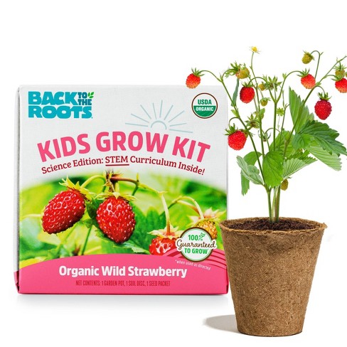 Back To The Roots Organic Alpine Strawberry Kids Grow Kit Science ...