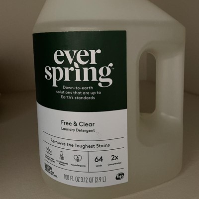 Free & Clear Liquid Laundry Detergent - 100 Fl Oz - Everspring™ : Target