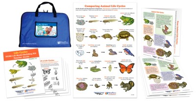 Supertek Life Size Human Skeleton Model With Key, Rod Mount : Target