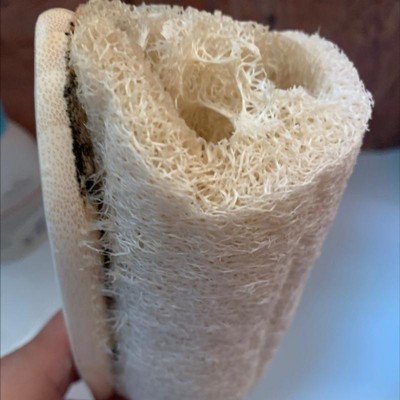 Ecotools Loofah Bath Brush : Target