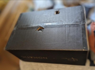 Nomatic Pm Accessory Case (black) : Target