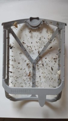 Zevo Flying Insect Trap Refill Kit - 4ct : Target