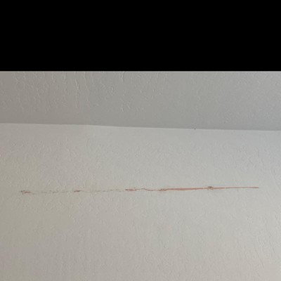 Fringe Backdrop Rose Gold - Spritz™ : Target