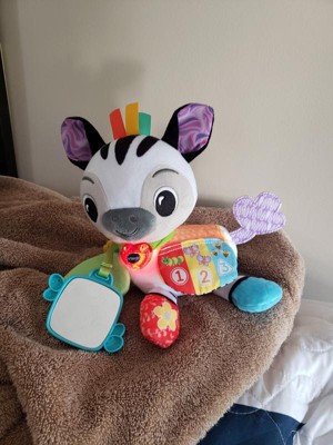 Vtech Sensory Safari Baby Learning Toy - Zebra : Target