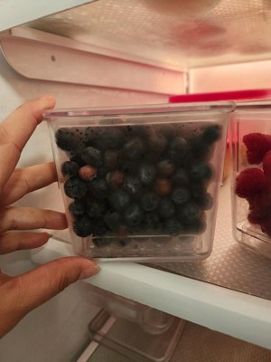 2pk Small Produce Fridge Bin Clear - Brightroom™ : Target