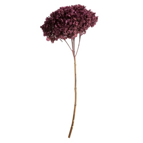 Vickerman 15” Purple Orchid Hydrangea With Multiple Branch Segments ...