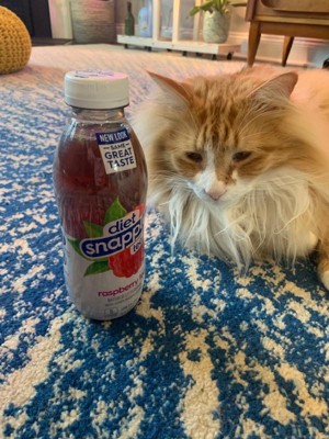 Snapple Zero Sugar Raspberry Tea - 6pk/16 Fl Oz Bottles : Target