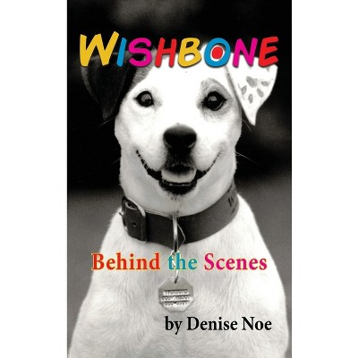 Mayberry 101 - (behind The Scenes Of A Tv Classic) By Neal Brower ...