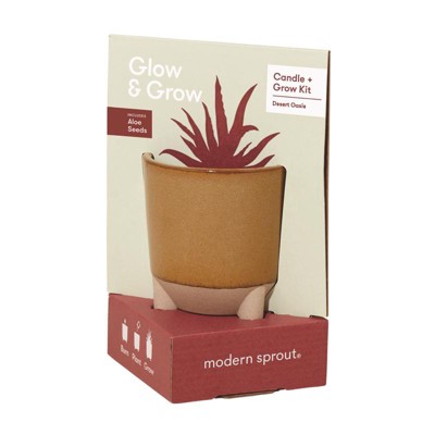 Modern Sprout : Target