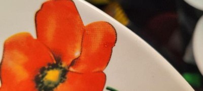 16pc Porcelain Poppy Dinnerware Set - Tabletops Gallery : Target