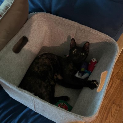 10.5" X 14" Medium Felt Basket With Stitching Oatmeal - Brightroom ...