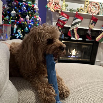 Long Rubber Stick With Crinkles Dog Toy - Blue - Boots & Barkley™ : Target