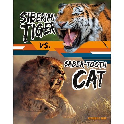 Saber Tooth Tiger Vs Siberian Tiger