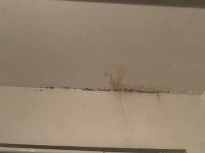 Lysol Mold & Mildew Remover Trigger - 32 Fl Oz : Target