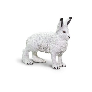 Safari Ltd. - Arctic Hare Toy : Target
