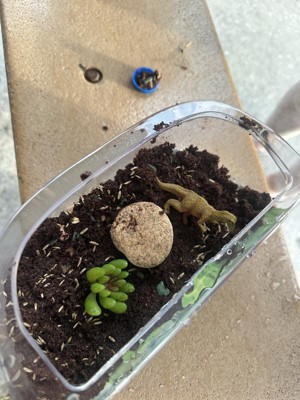 National Geographic Light Up Terrarium Kit For Kids - Dinosaur ...