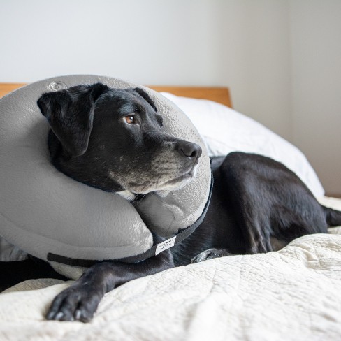 Bencmate Protective Inflatable Collar For Dogs And Cats - Soft Pet ...