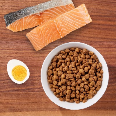 Iams Proactive Health With Salmon Adult Premium Dry Cat Food - 7lbs ...