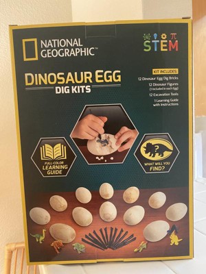 National Geographic Dinosaur Egg Dig Kits - 12 Dino Egg-shaped Dig ...