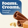 Silk Cold Foam Cinnamon Caramel Cream - 14 Fl Oz : Target