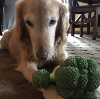 Bark Punk Brocc Broccoli Dog Toy : Target