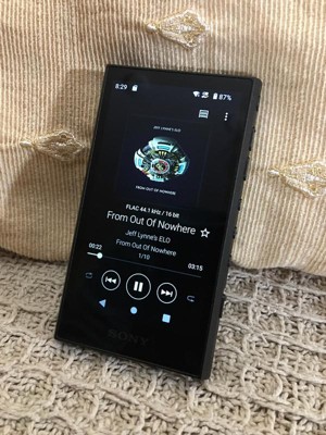 Sony Nw-a306 Walkman A Series Hi-res Digital Music Player With Wifi ...