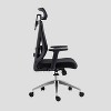 Truly Ergonomic Chair With Adjustable Headrest And Lumbar Support Black ...