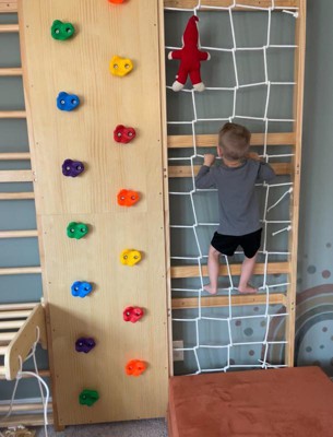 Walnut - 9-in-1 Swedish Ladder Wall Gym And Climber : Target