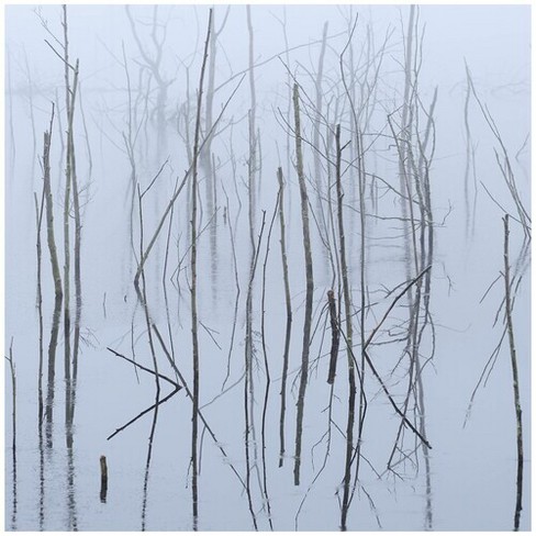 Olhava - Frozen Bloom (cd) : Target